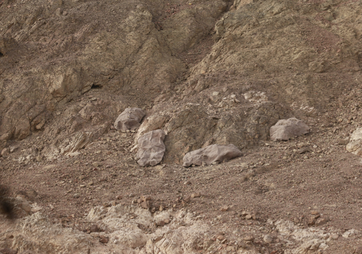 Rimon – special unit - Guardian Defense & Homeland Security